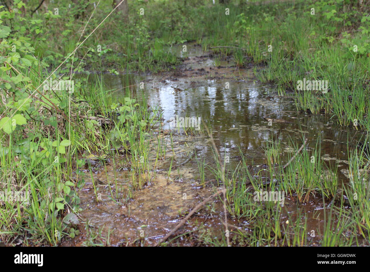 California Country Park Stock Photo - Alamy