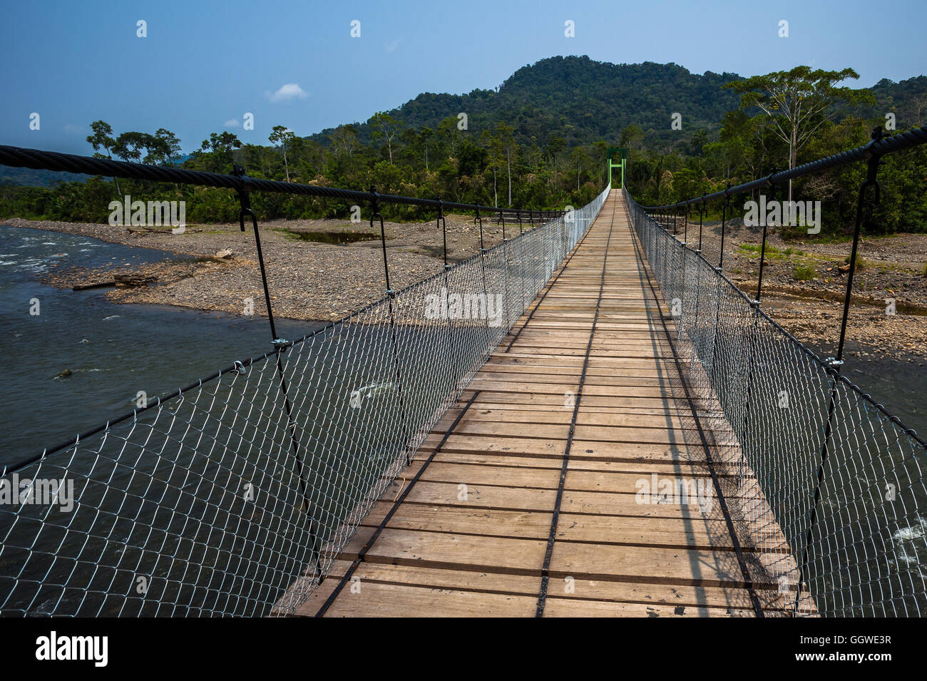 Hanging bridge over river Arajuno, Ecuadorian Amazon Stock Photo - Alamy