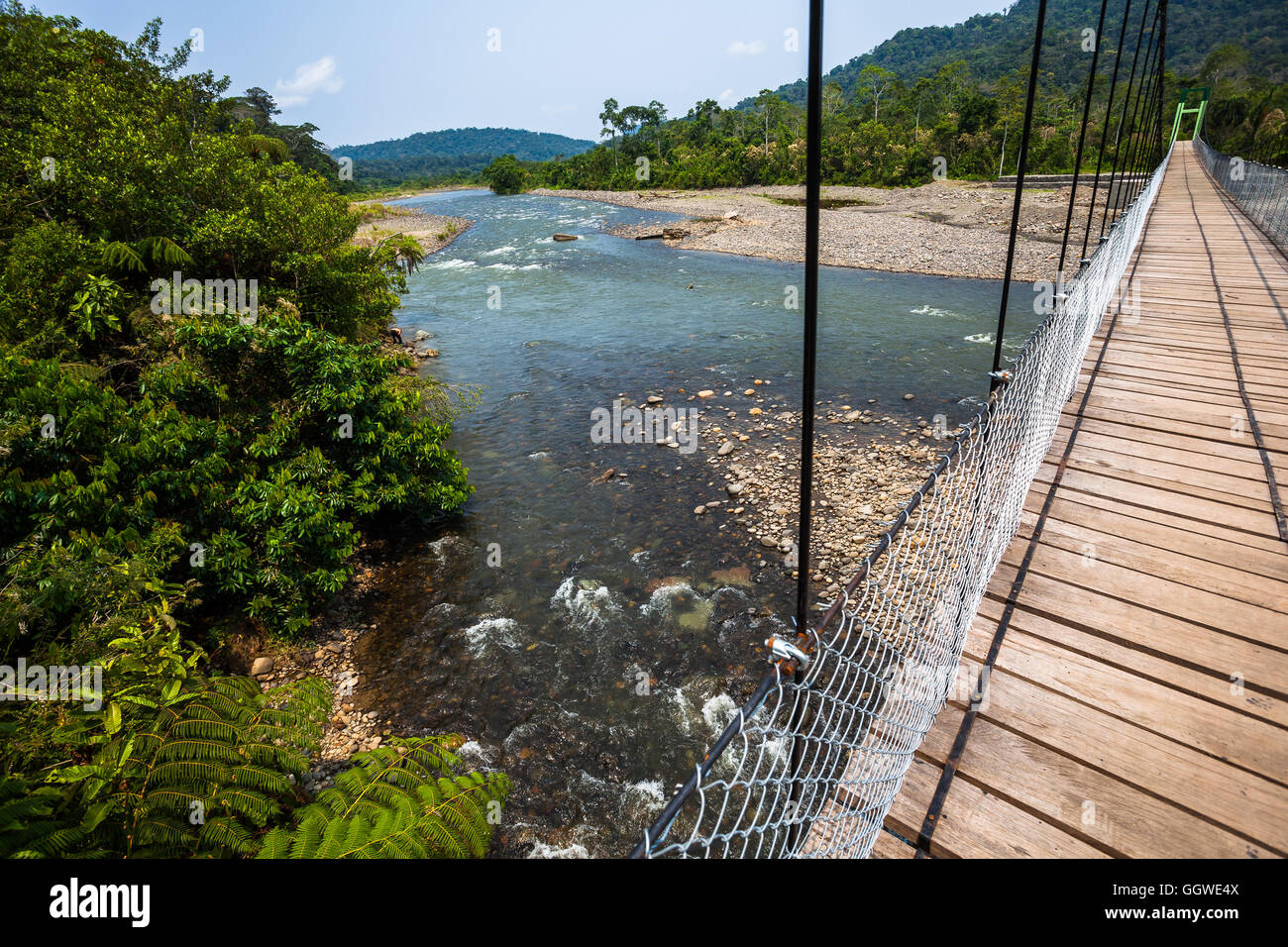 Hanging bridge over river Arajuno, Ecuadorian Amazon Stock Photo - Alamy