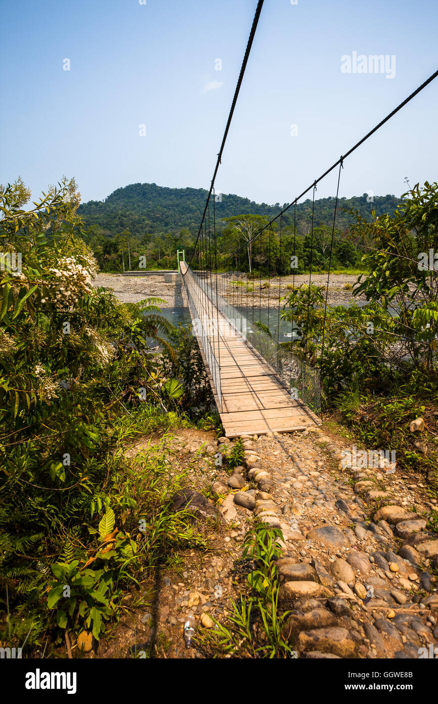 Hanging bridge over river Arajuno, Ecuadorian Amazon Stock Photo - Alamy