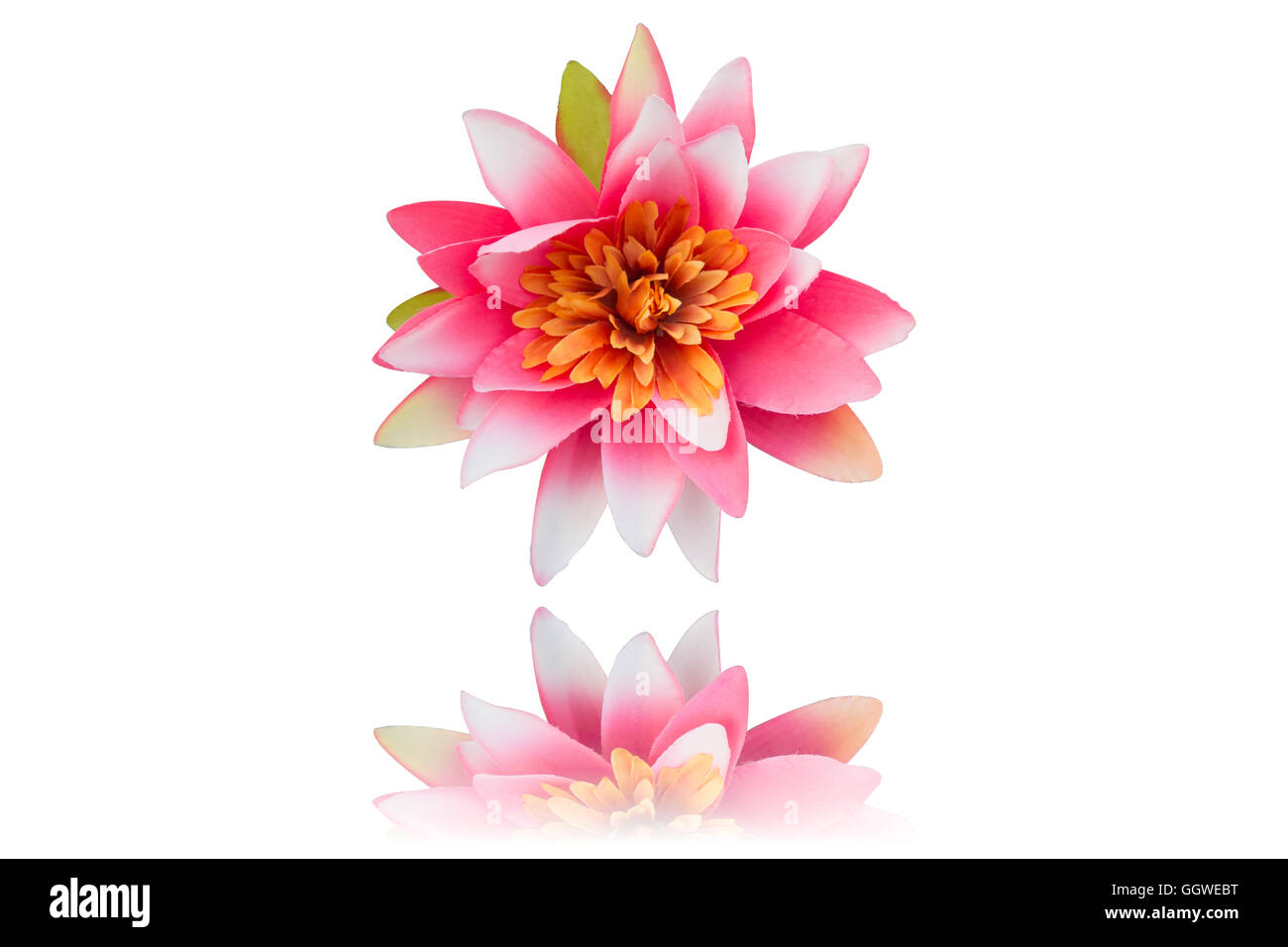 Artificial Flower on Top View Isolated Stock Photo - Alamy
