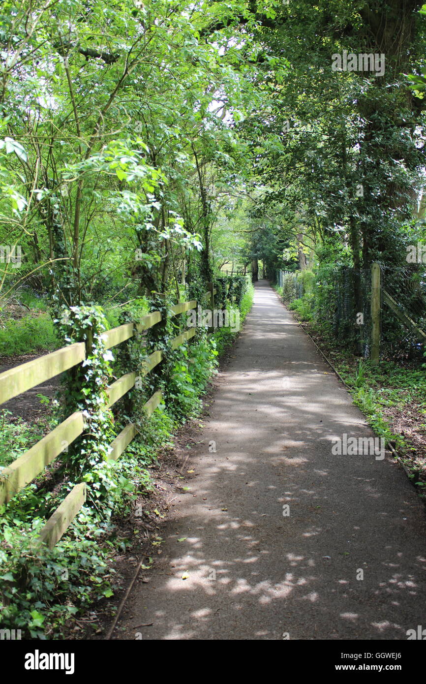 California Country Park Stock Photo - Alamy