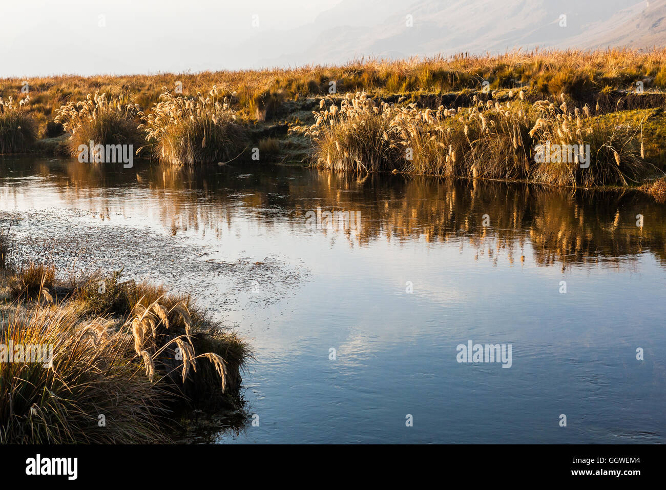 Pajonales gold with blue river at dawn Stock Photo - Alamy