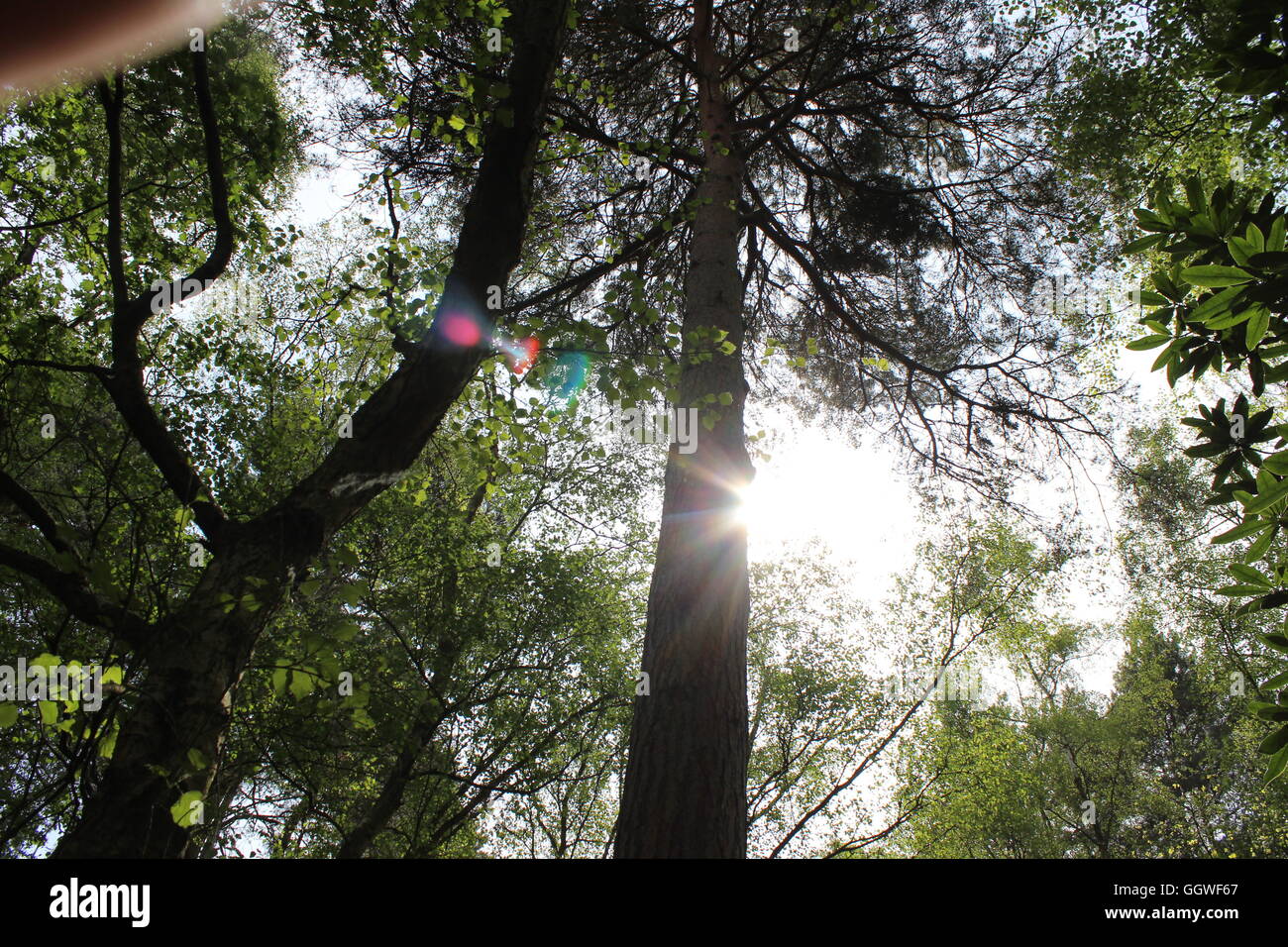 California Country Park Stock Photo - Alamy