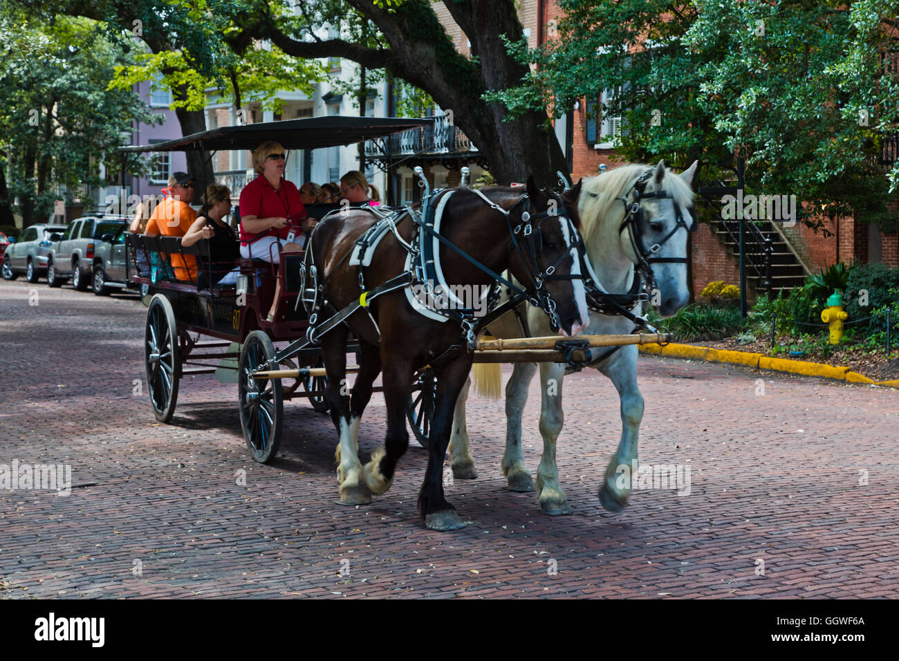 Toursit take a horse and buggy ride through the southern style mansions ...