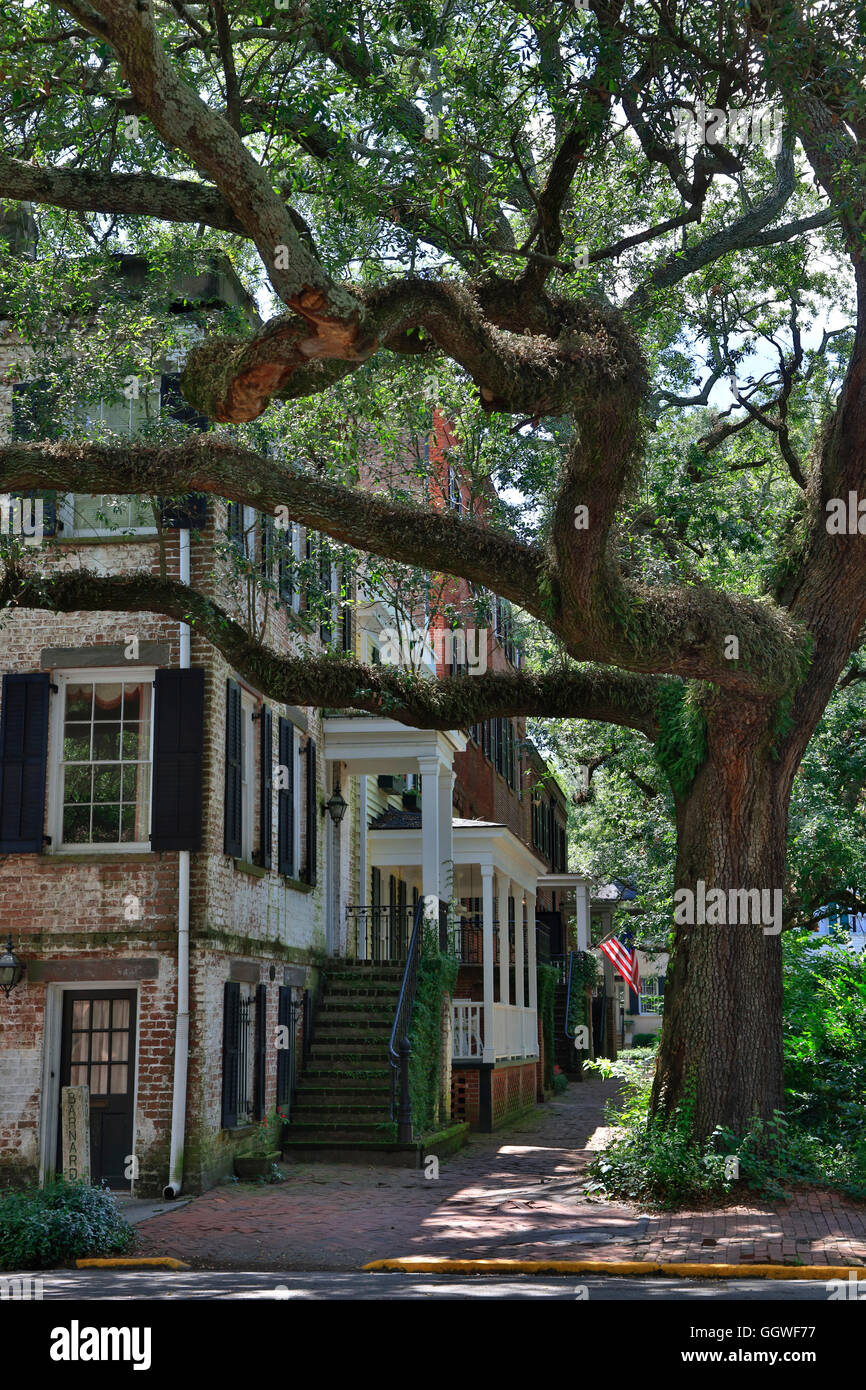 Southern style mansions grace the historical section of SAVANNA GEORGIA ...