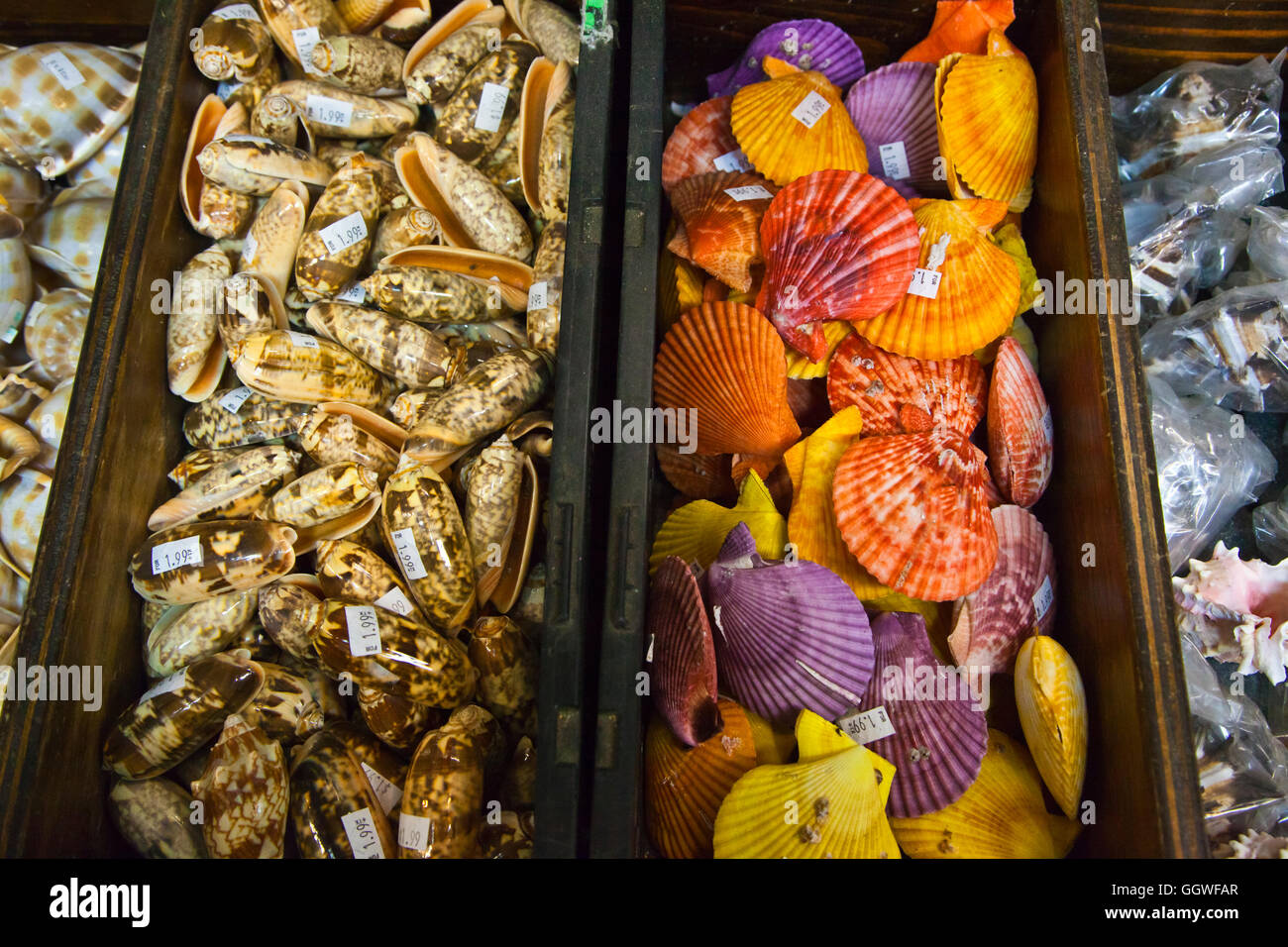 Sea Shells Shop Stock Photos & Sea Shells Shop Stock Images - Alamy