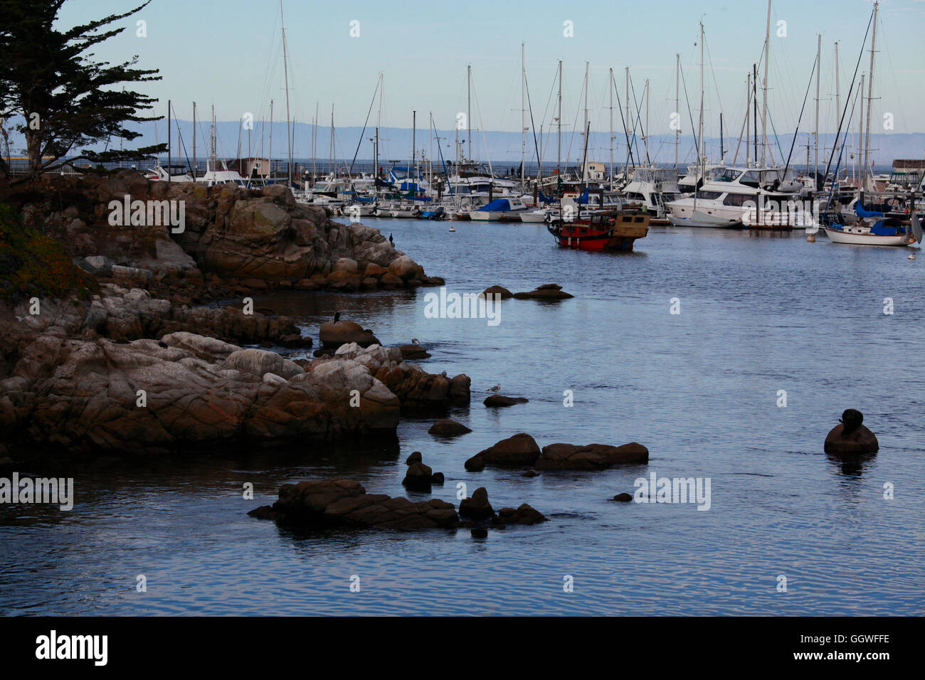 The harbor with docked sail boats and yachts - MONTEREY, CALIFORNIA ...