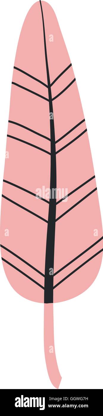 feather plume vintage decoration icon. Vector graphic Stock Vector ...