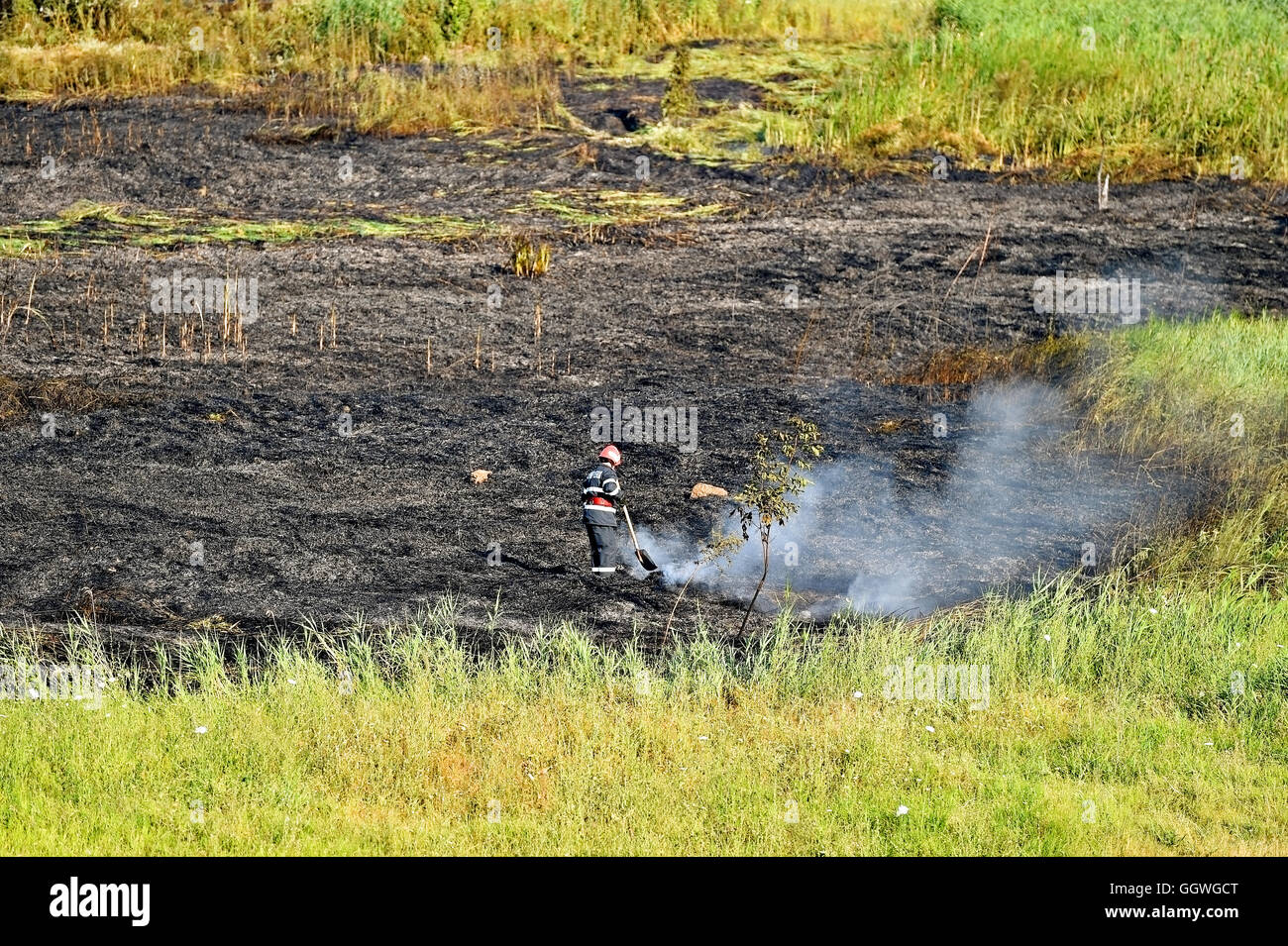 Firefighter at work on a summer day near an extinguished wildfire Stock ...