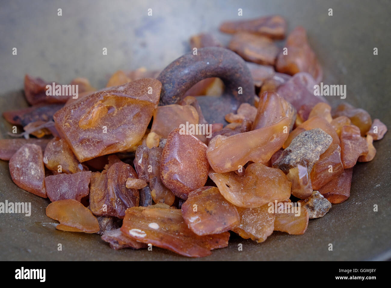 Insect amber fossil hi-res stock photography and images - Alamy