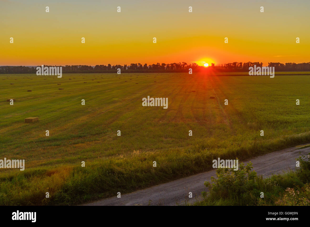 Agricultural landscape Ukraine sunset time Stock Photo - Alamy