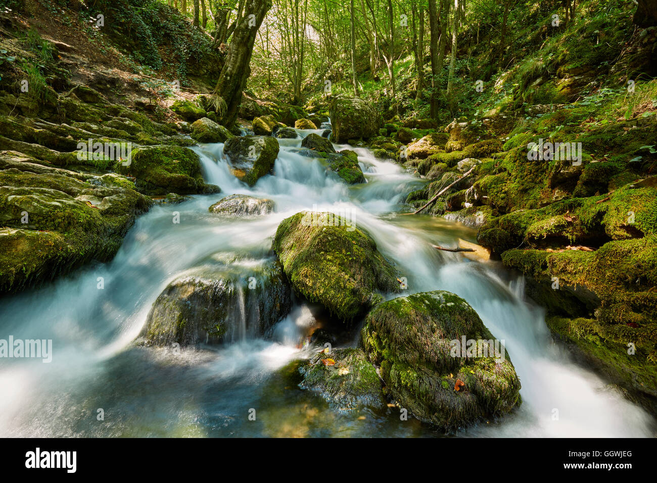 Landscape with river flowing through the forest on mountains Stock ...