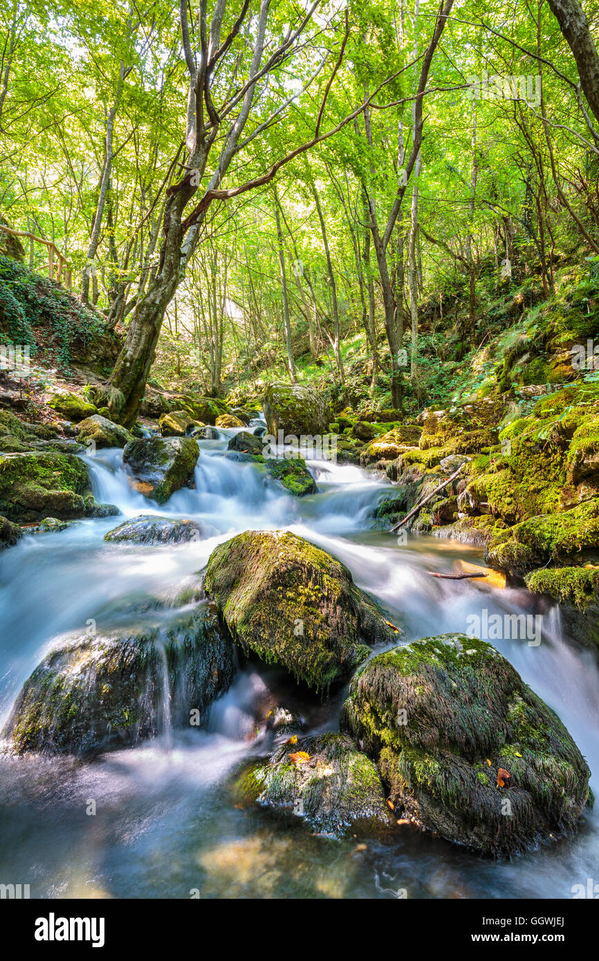 Landscape with river flowing through the forest on mountains Stock ...