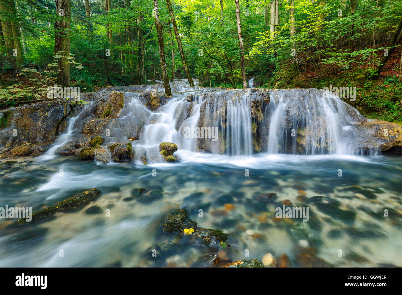 Landscape with a waterfall in a lush forest Stock Photo - Alamy