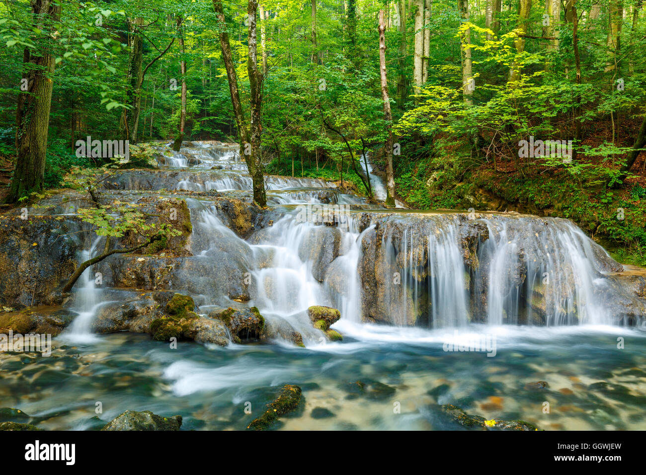 Landscape with a waterfall in a lush forest Stock Photo - Alamy