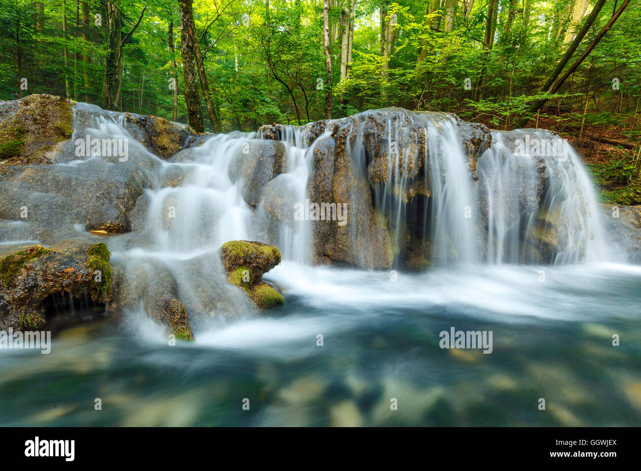 Landscape with a waterfall in a lush forest Stock Photo - Alamy