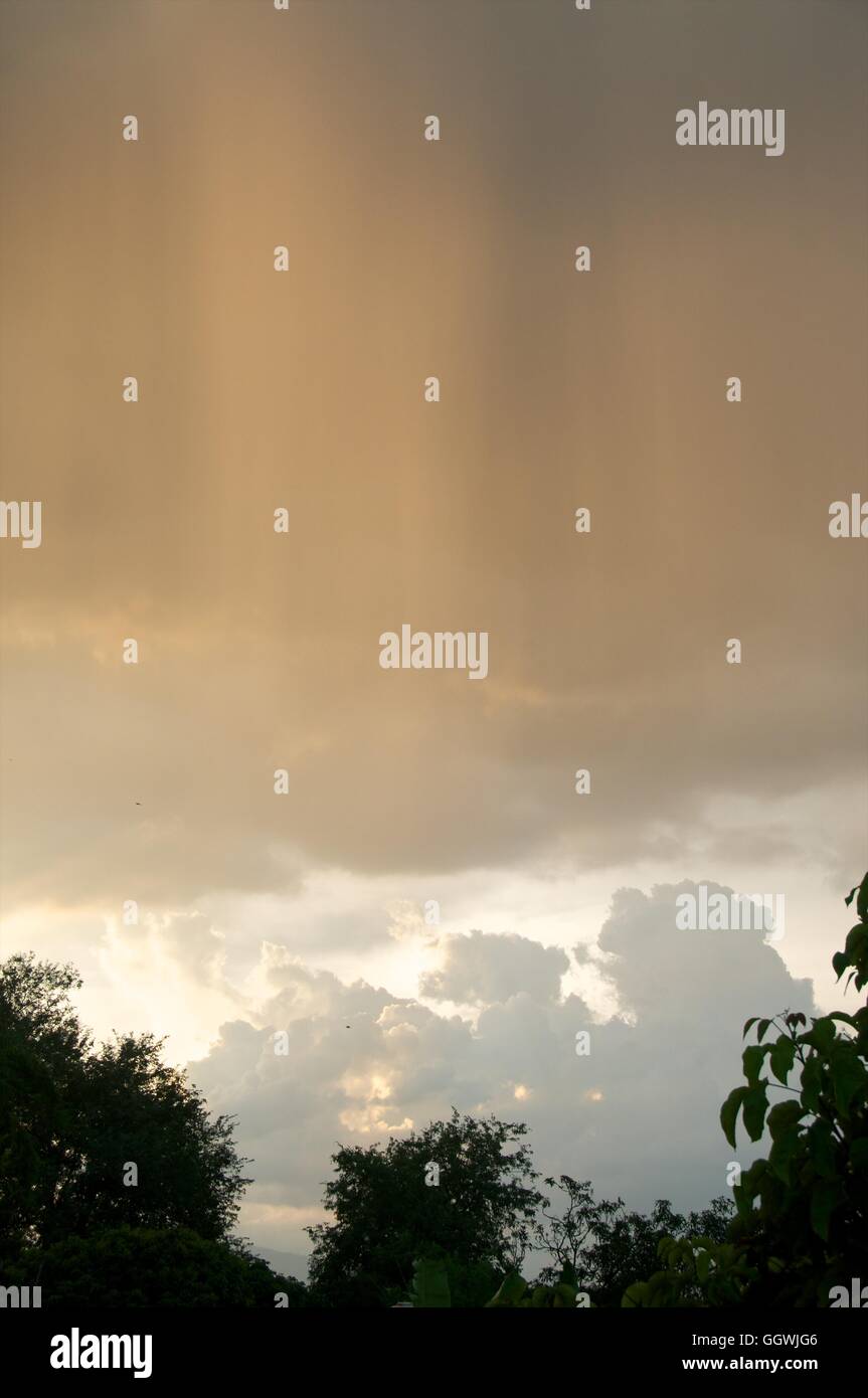 Rainfall hi-res stock photography and images - Alamy