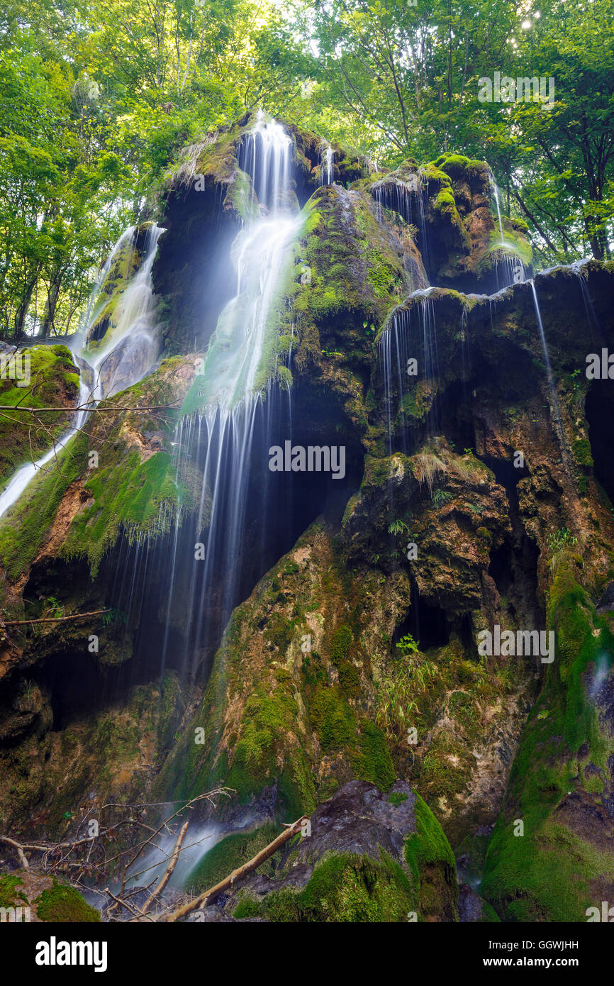 Landscape with a waterfall in a lush forest Stock Photo - Alamy