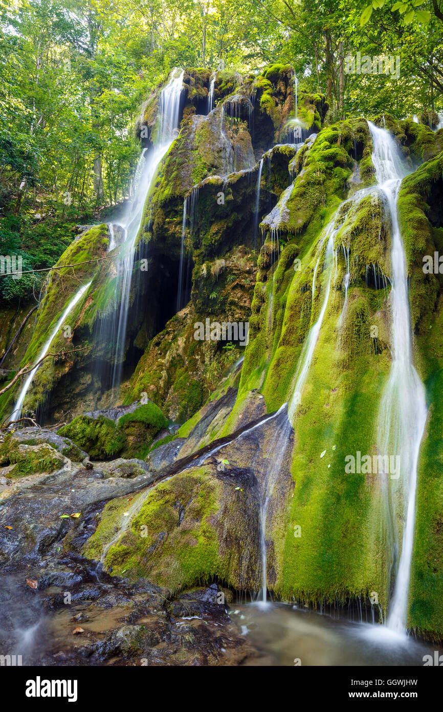 Landscape with a waterfall in a lush forest Stock Photo - Alamy