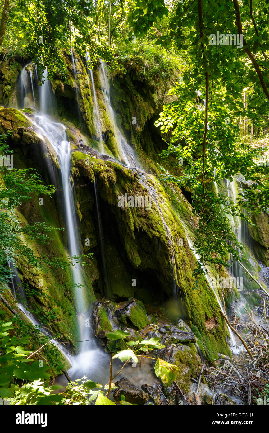Landscape with a waterfall in a lush forest Stock Photo - Alamy