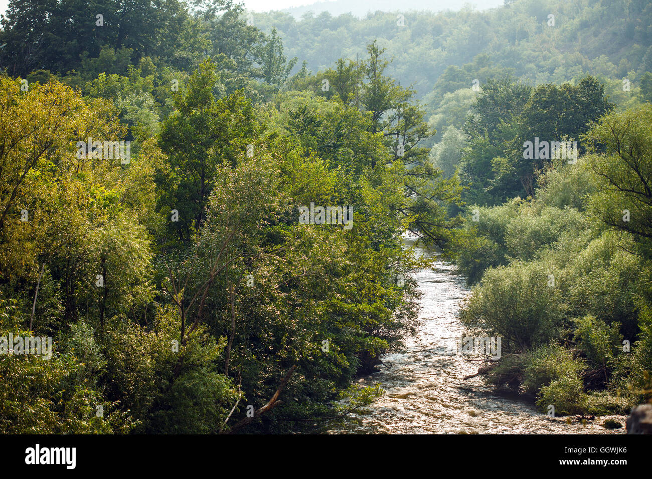 Landscape with a river flowing through a forest Stock Photo - Alamy