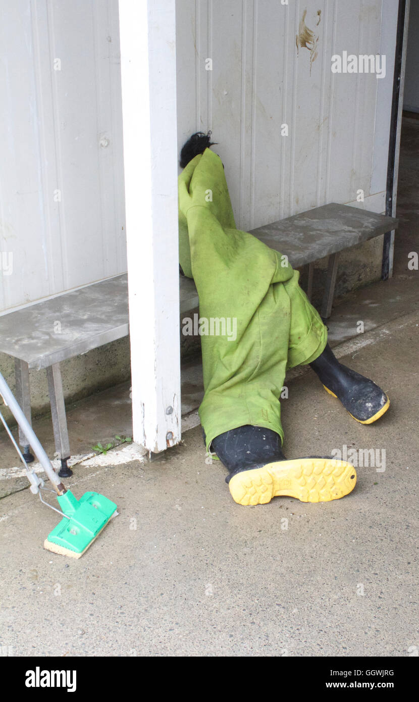 Green waders with boots left on a bench Stock Photo - Alamy