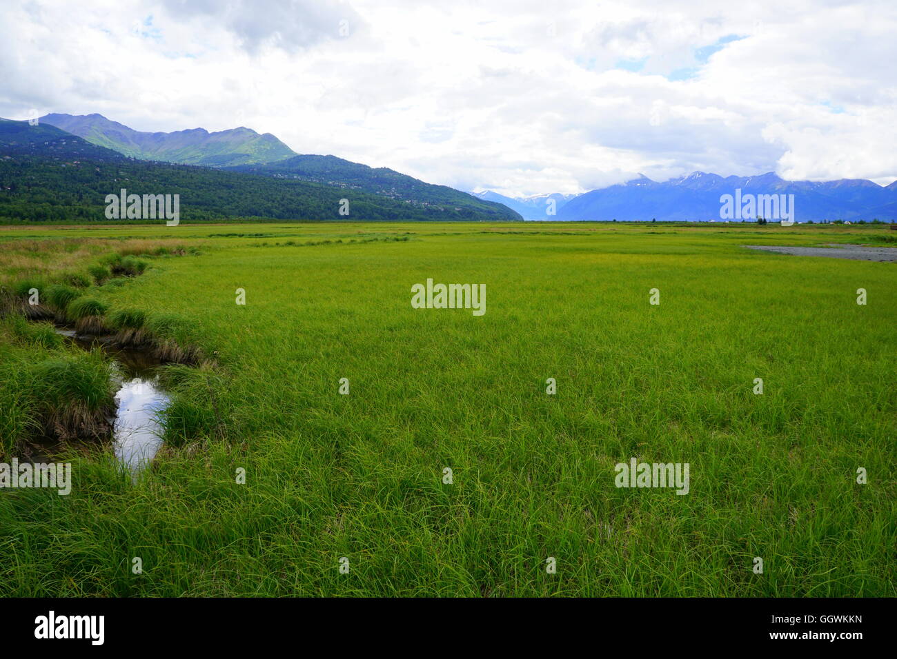 Slough at Potter Marsh Wildlife Viewing Boardwalk in Anchorage, Alaska ...