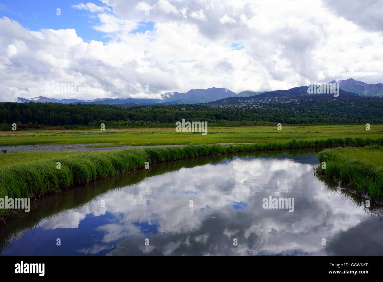 Backwater swamp hi-res stock photography and images - Alamy