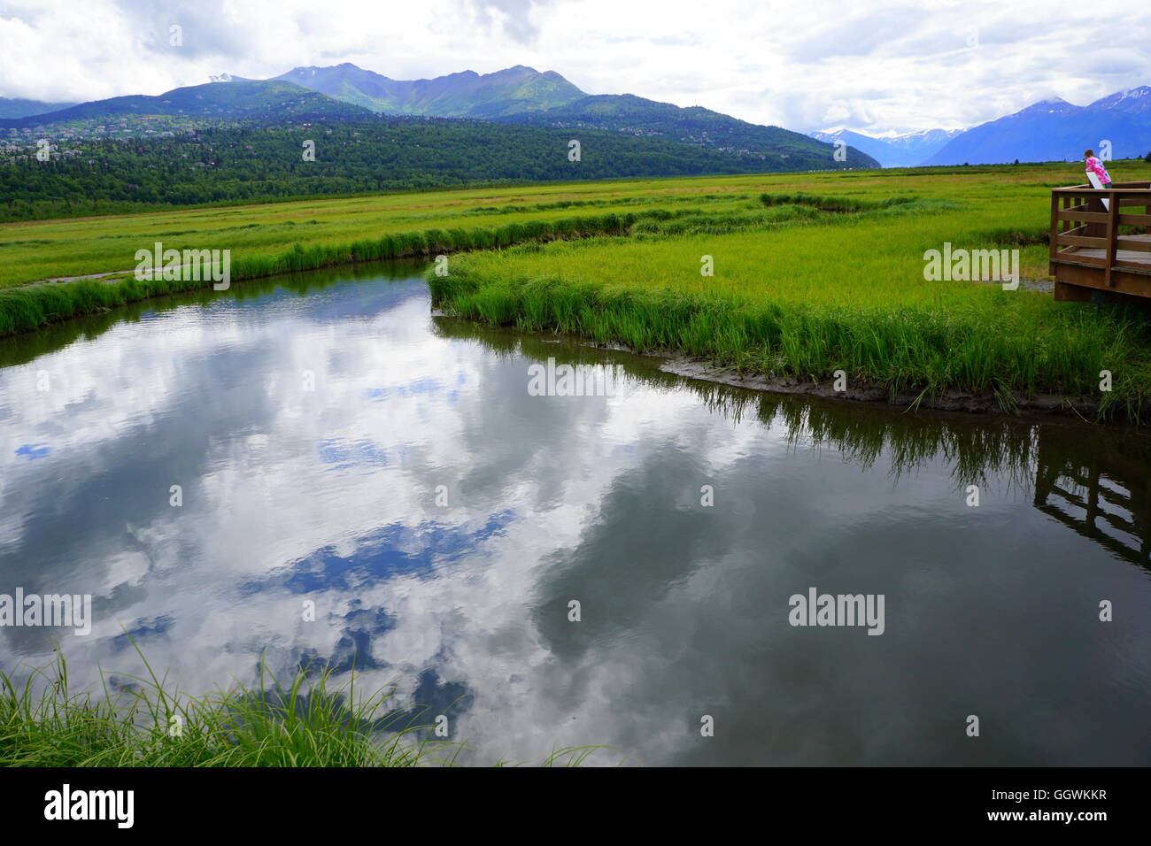 Slough at Potter Marsh Wildlife Viewing Boardwalk in Anchorage, Alaska ...