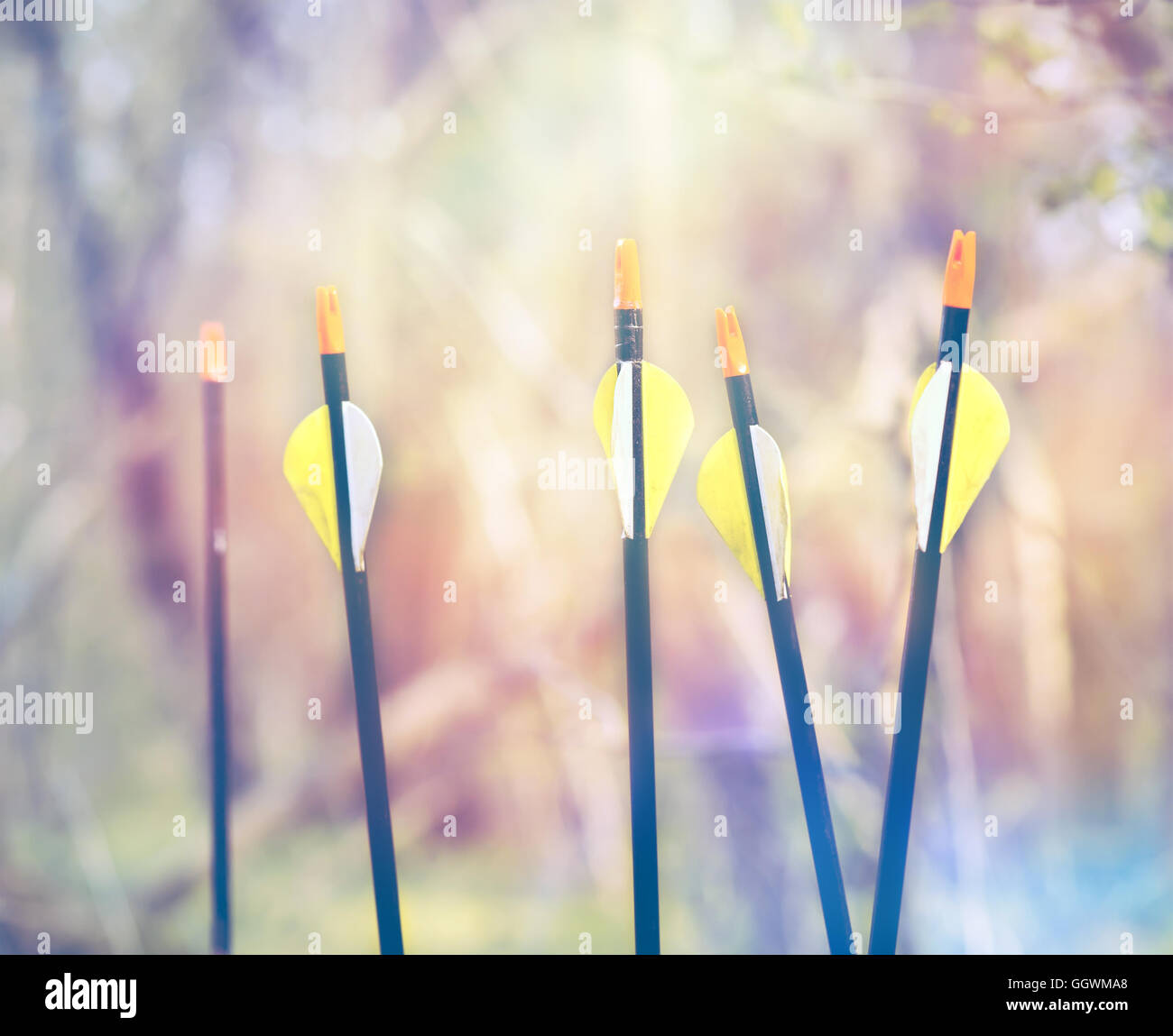 Bow Arrows Sport archery concept summer nature on background Stock ...