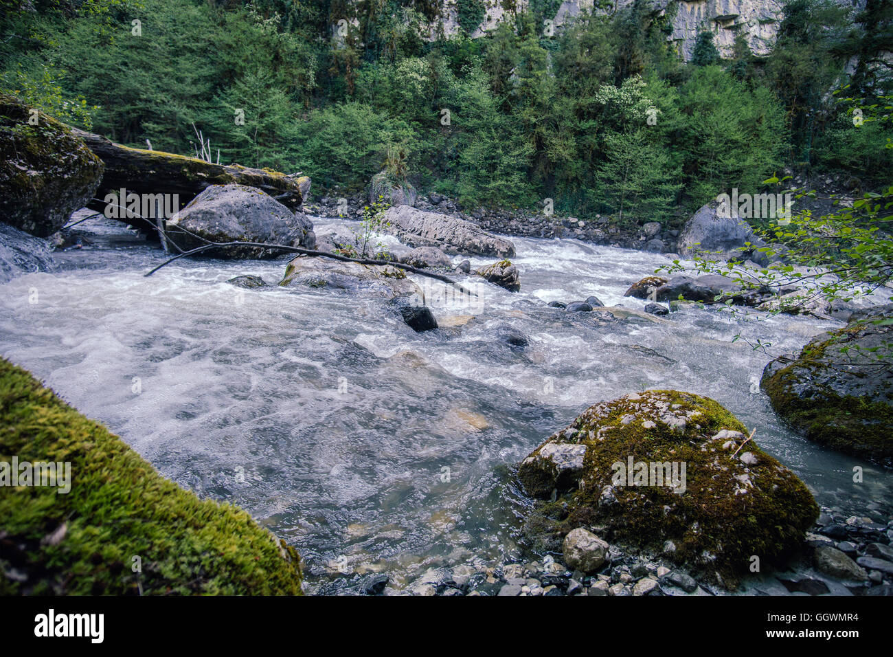 Mountain Waterfall River with deep forest Landscape beautiful scenic ...