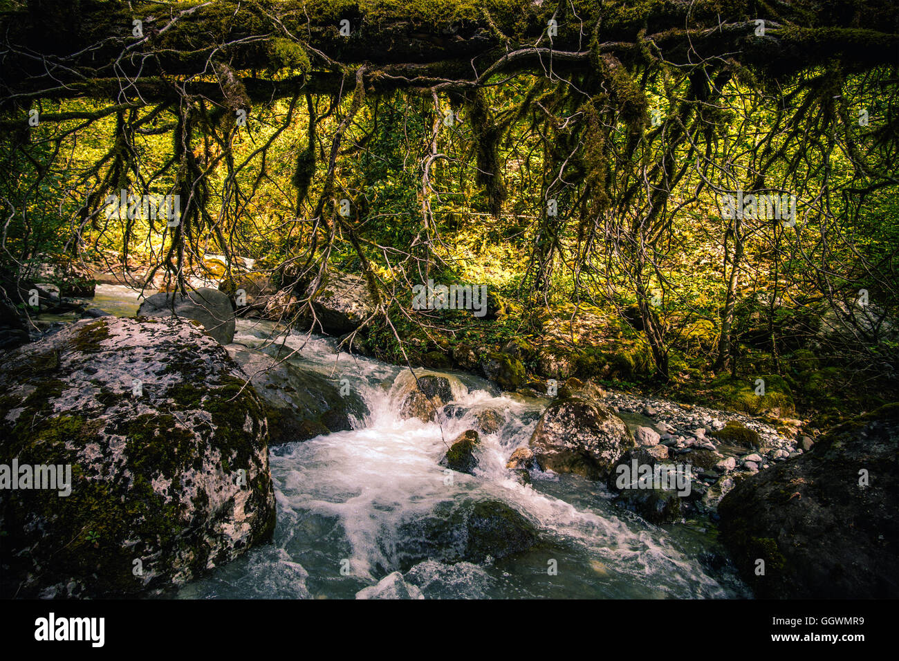 River leaks hi-res stock photography and images - Alamy