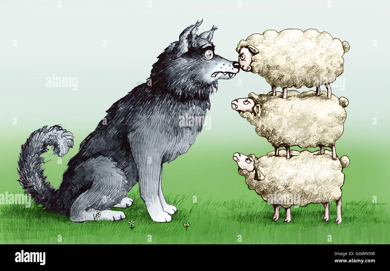 Wolves sheep hi-res stock photography and images - Alamy