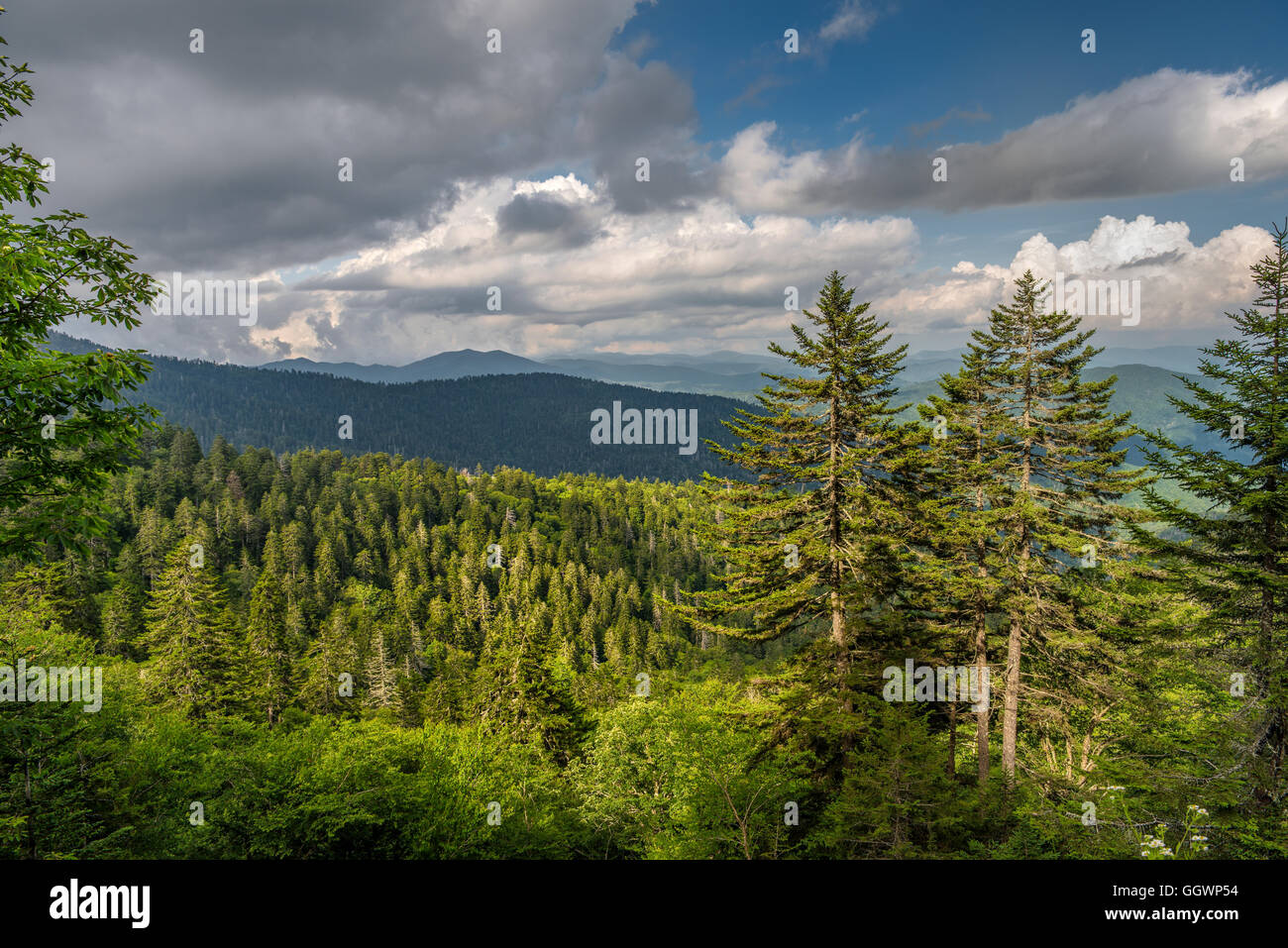 A scenic view of the Great Smoky Mountains from just below Clingman's ...