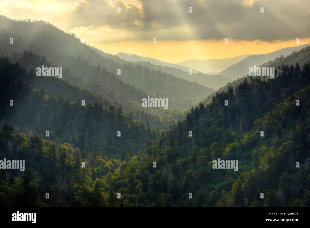 Near sunset at Morton's Overlook below Newfound Gap on the border of ... Near sunset at Morton's Overlook below Newfound Gap on the border of ...