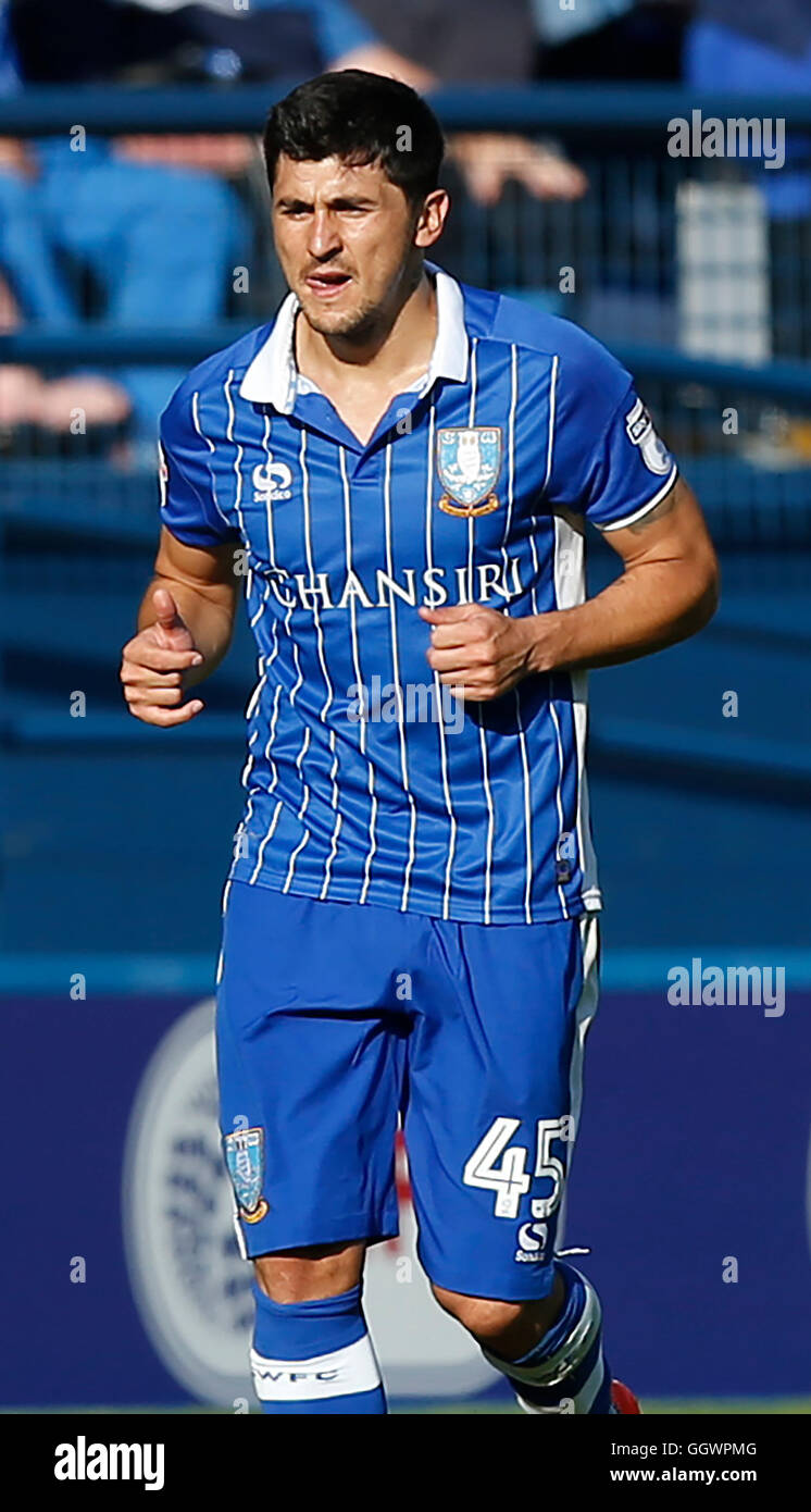 Sheffield Wednesday's Fernando Forestieri celebrates scoring his sides ...