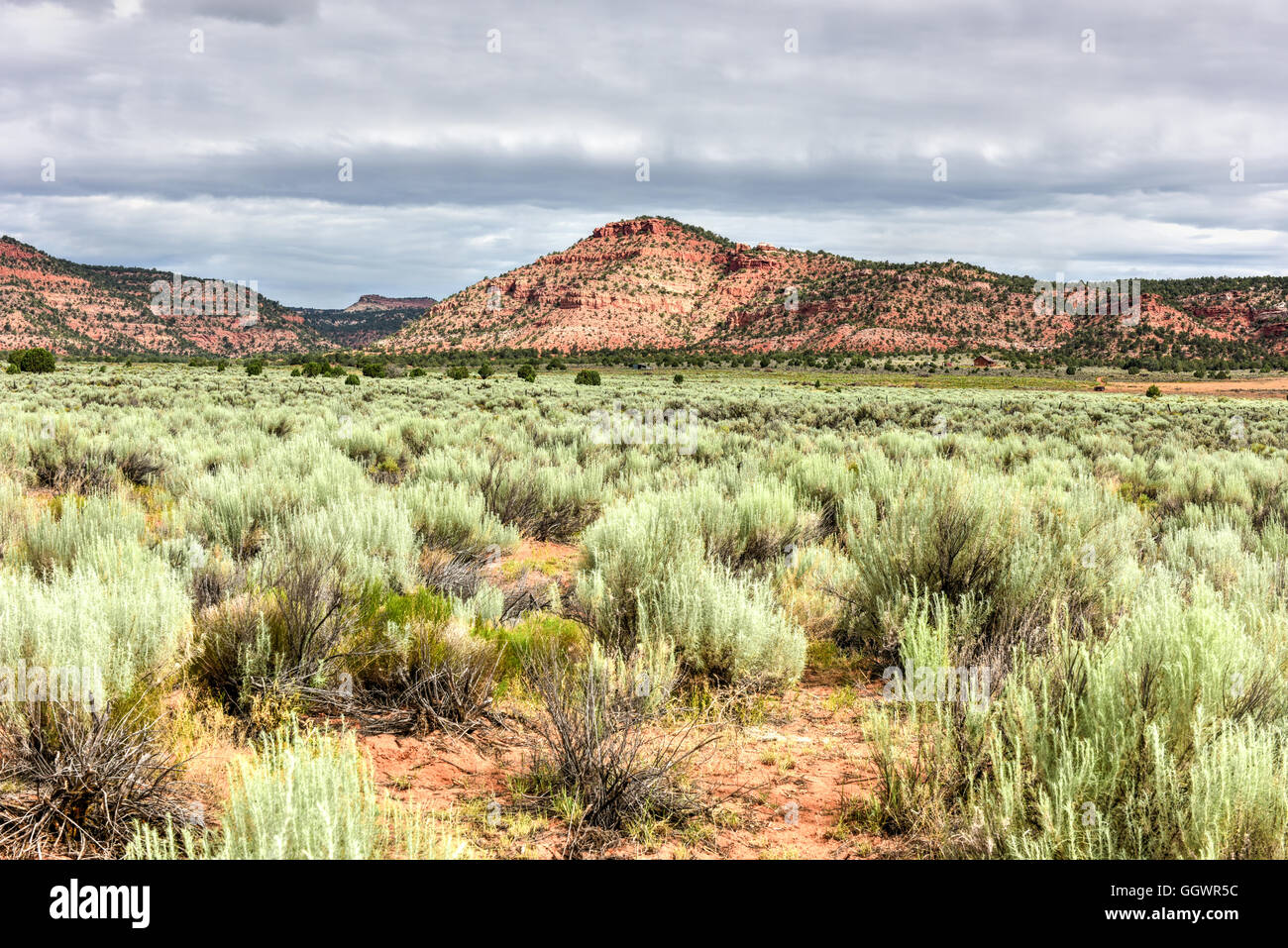 Rock formations along the Johnson Canyon Road in Utah, USA Stock Photo ...