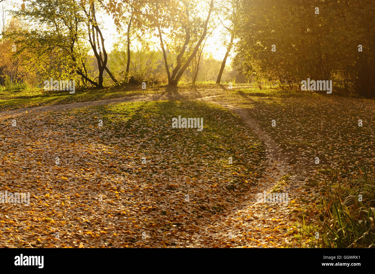Golden Autumn in a Sun-Lit Park. Path, Grass and Foliage Stock Photo ...