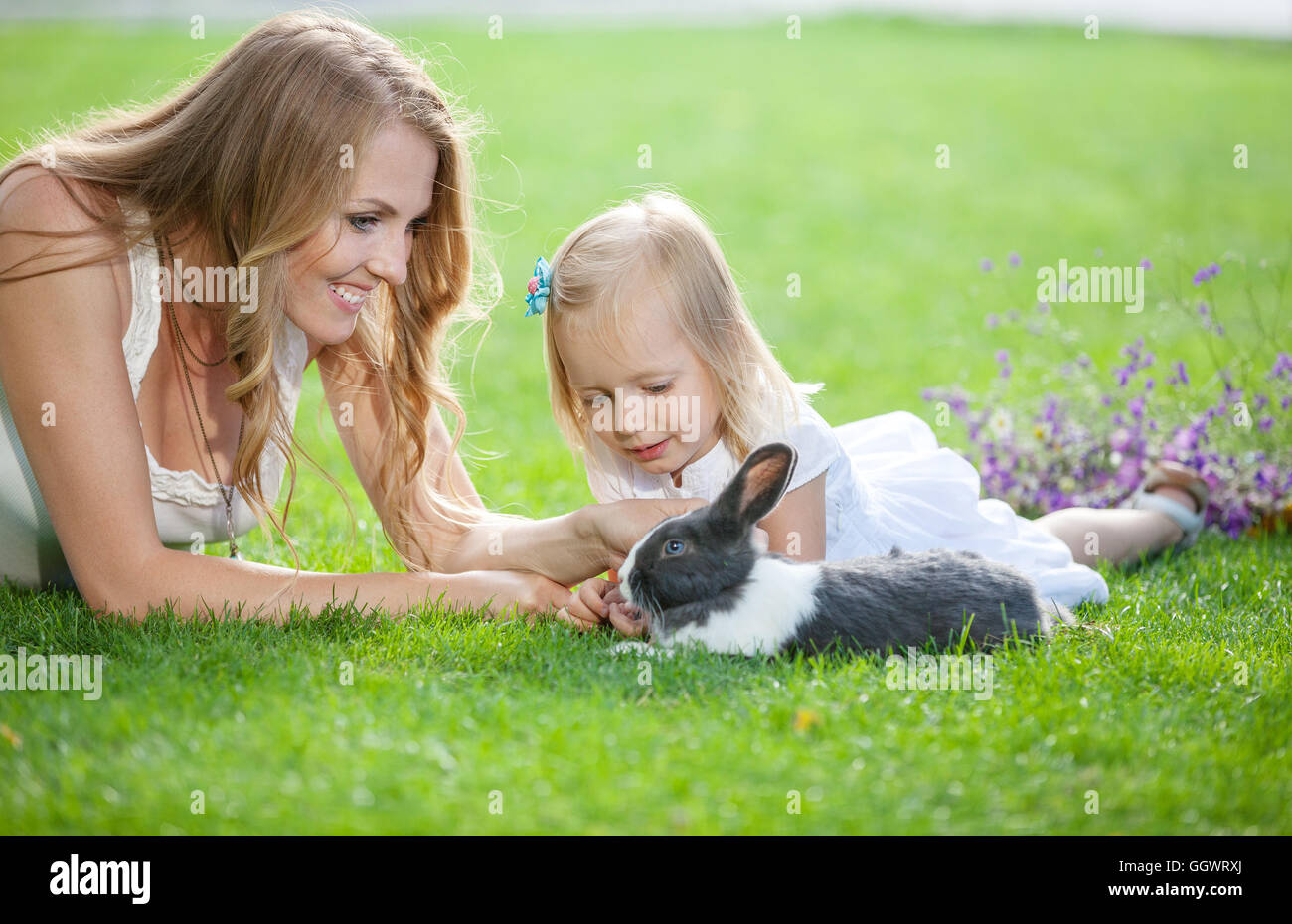 Bunny park hi-res stock photography and images - Alamy