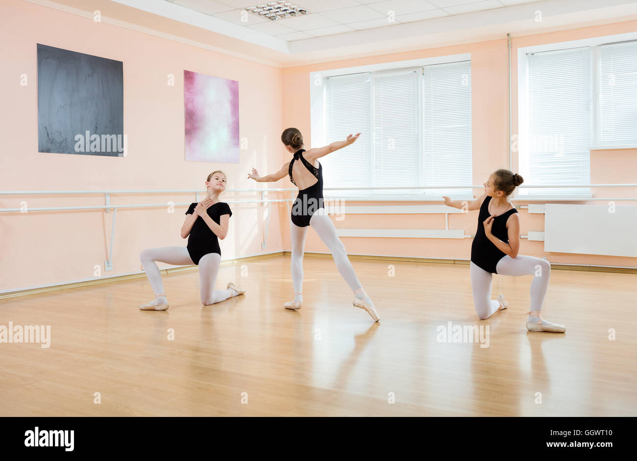 Young dancers at ballet class Stock Photo - Alamy