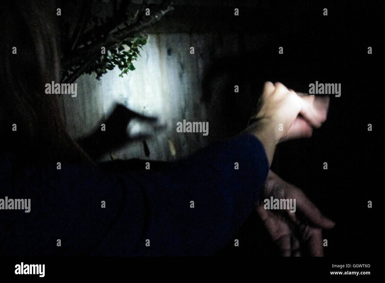 Woman makes hand shadow monsters on garden fence - Berkhamsted, UK ...