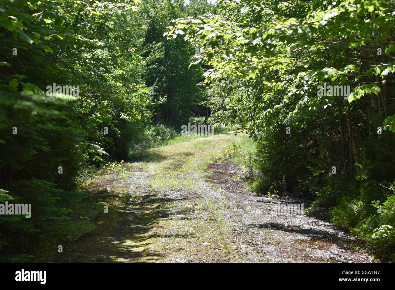 Unpaved road hi-res stock photography and images - Alamy
