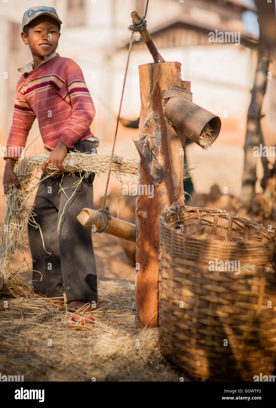 Boy working in the farm Stock Photo - Alamy
