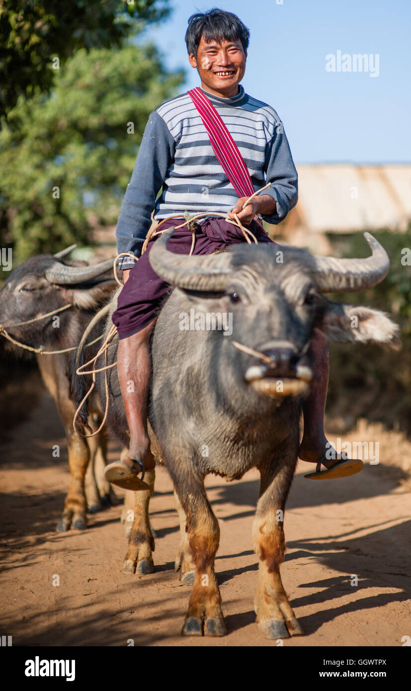Riding buffalo hi-res stock photography and images - Alamy