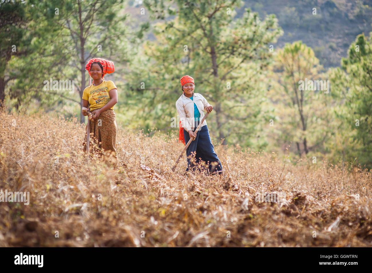 Tribal people farming hi-res stock photography and images - Alamy