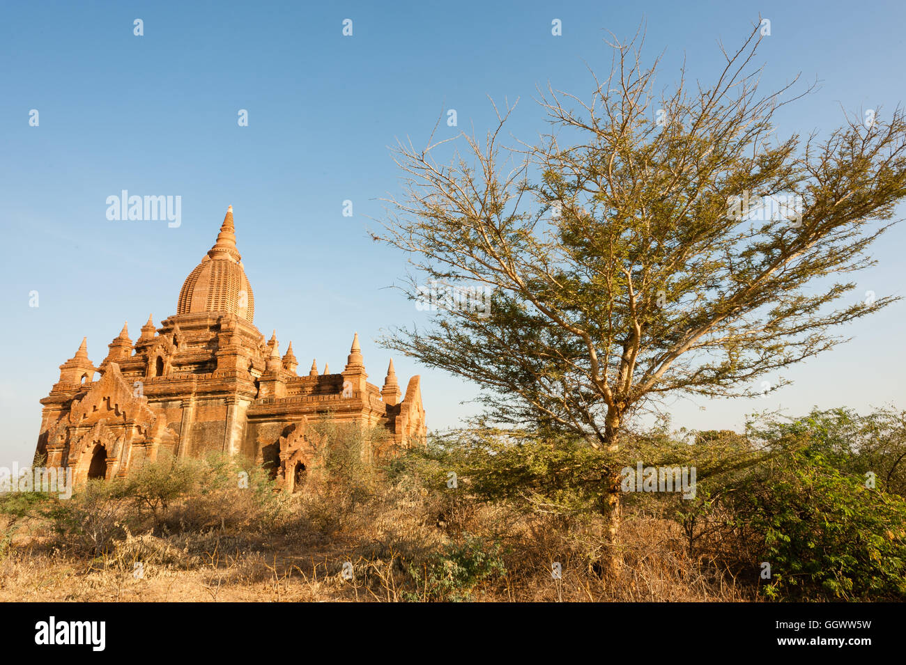 Old buddhist temple brick hi-res stock photography and images - Alamy