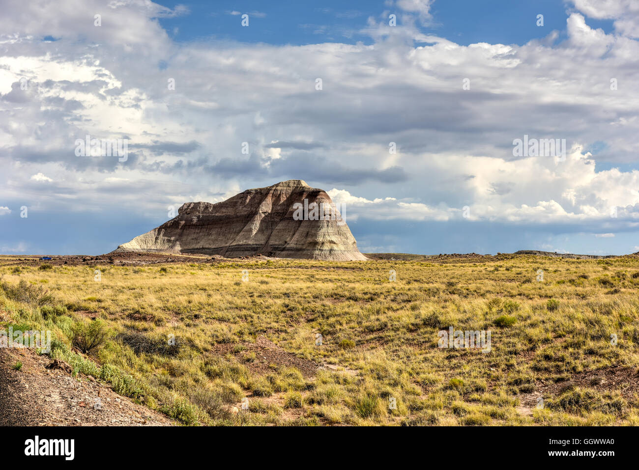 The Crystal Forest in the Petrified Forest National Park in Arizona ...