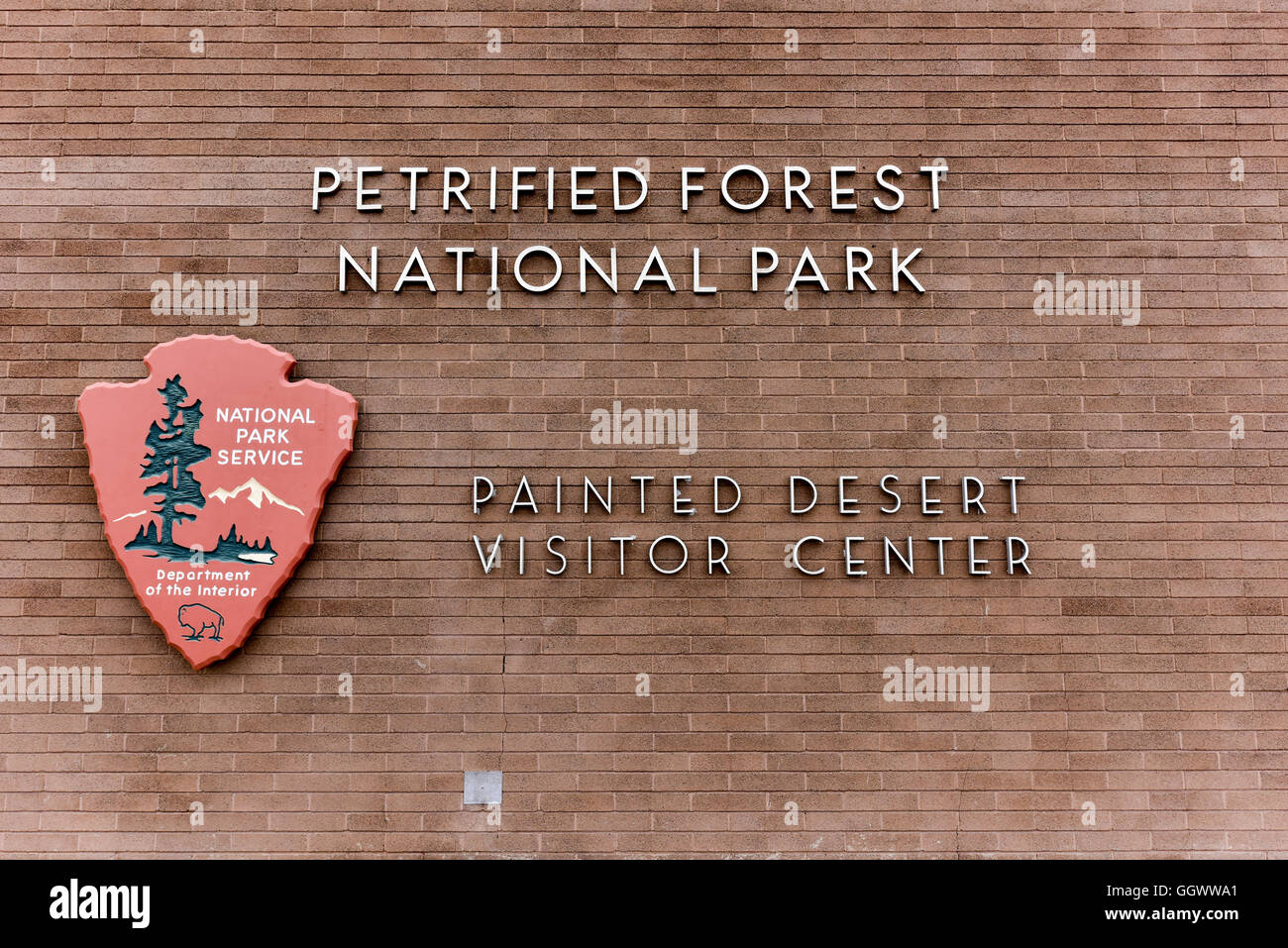 Painted forest hi-res stock photography and images - Alamy