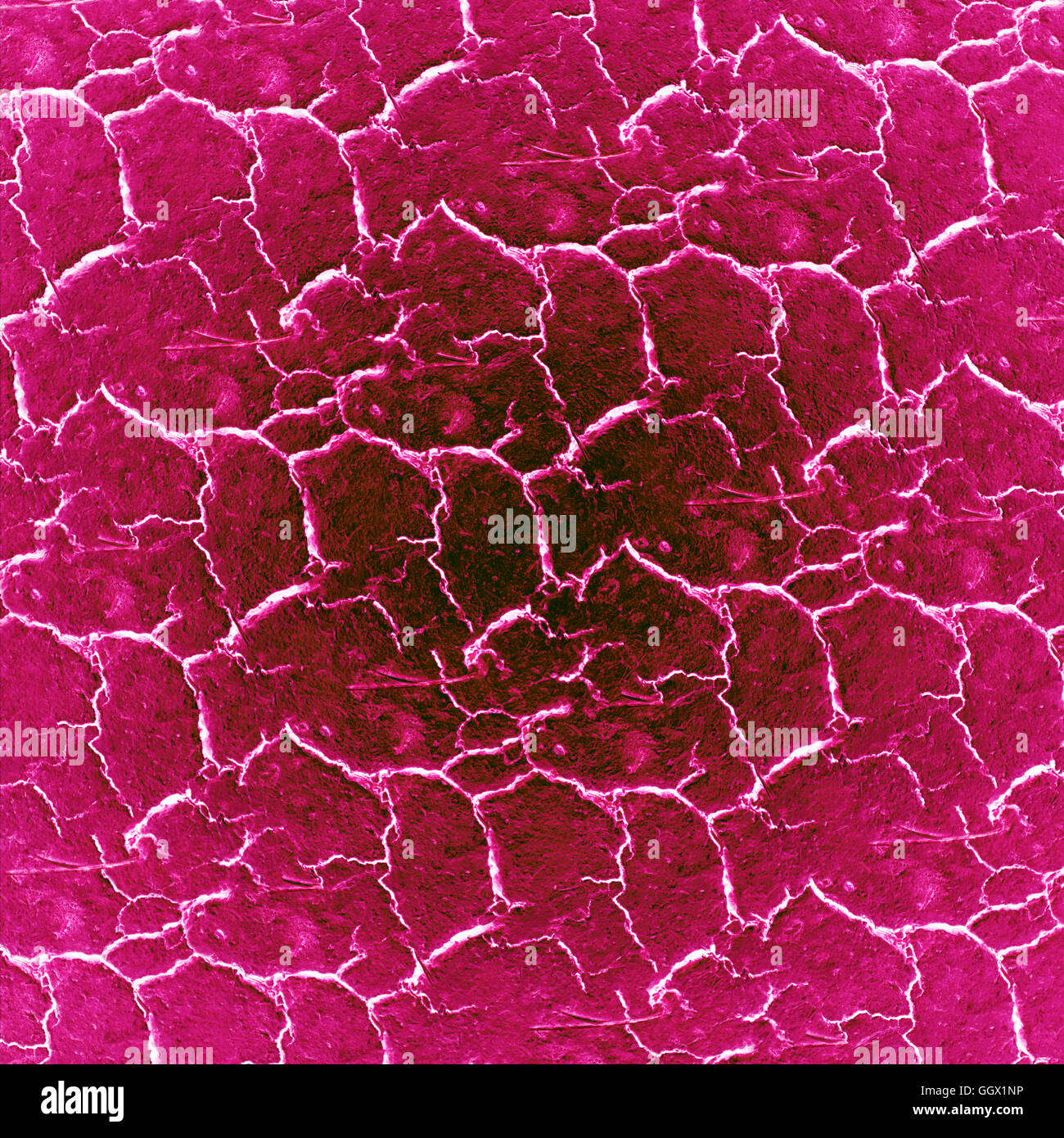 textured lit abstract vividly colored background design Stock Photo - Alamy